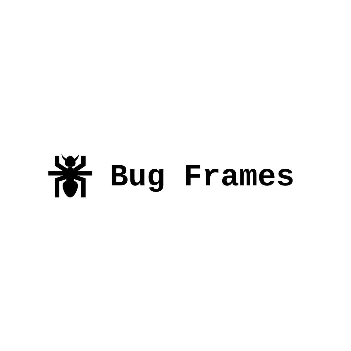 Bug Frames | Insect & Butterfly Displays | Ethically Sourced